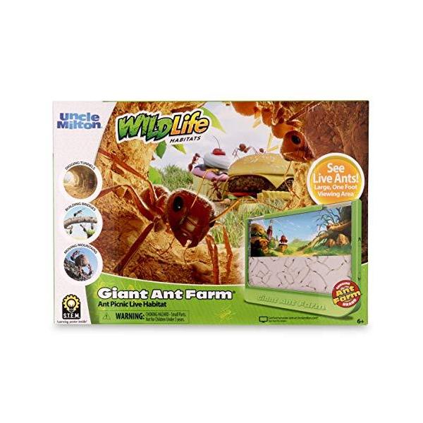 アンクルミルトン 知育玩具 科学 0056 Uncle Milton Giant Ant Farm - Large Viewing Area - Care for Live Ants - Nature Learning Toy - Scie...