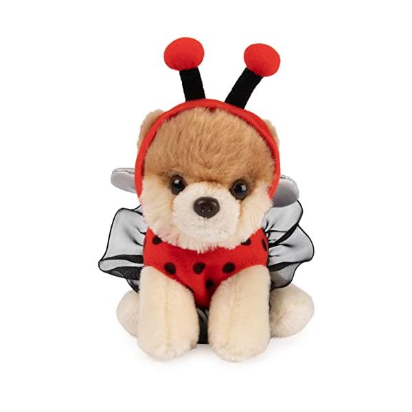 ガンド GUND ぬいぐるみ リアル お世話 かわいい 6064925 GUND Boo, The World’s Cutest Dog Ladybug Plush Pomeranian Stuffed Animal for Ages 1 ...