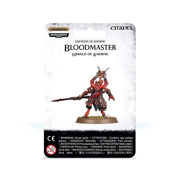 ボードゲーム 英語 アメリカ 海外ゲーム 97-62 Games Workshop Warhammer AoS &amp; 40k - Daemons of Khorne Bloodmaster, Herald of Khorne海外限定品...