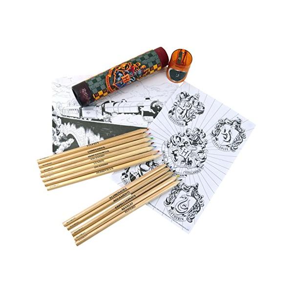 ハリー・ポッター アメリカ直輸入 おもちゃ 玩具 Harry Potter ハリポタ WIZARDING WORLD AFSR72386 Pyramid International Harry Potter (Hogwarts) Offic...