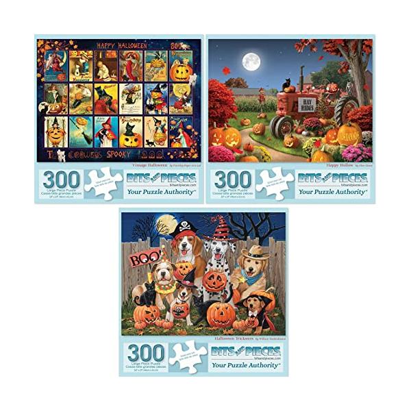 ジグソーパズル 海外製 アメリカ 48313 Bits and Pieces - Value Set of (3) 300 Piece Jigsaw Puzzles for Adults - Each Puzzle Measures 18"...