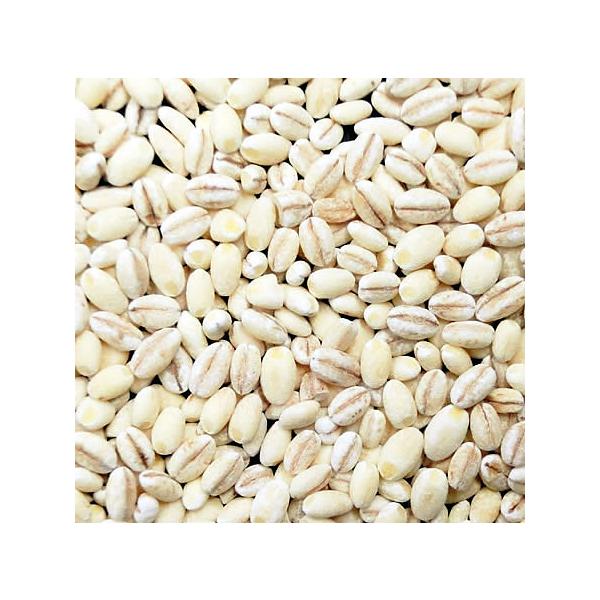 こちらの商品は全国送料無料となります。（沖縄・一部離島を含みます。）同梱はできません。送料計算がうまくいかない場合がございますので、送料は注文受付メールにてご確認ください。■投函便（ポスト投函）配送のご注意●代引決済はご選択できません。●日...