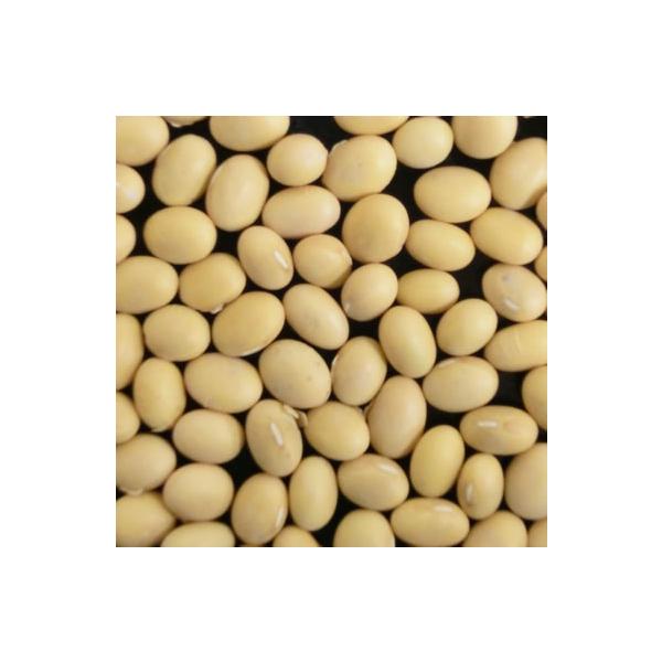 こちらの商品は、【事業所配送（個人宅不可）】です。個人宅には配送できません。下記の条件以外はキャンセルとなります。【事業所配送（個人宅不可）】とは、以下の条件が必要です。●日中10時から17時までの間必ず荷物を引き取れる事業所。●電話番号は...