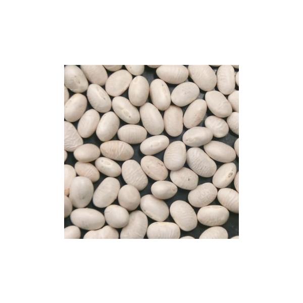 こちらの商品は、【事業所配送（個人宅不可）】です。個人宅には配送できません。下記の条件以外はキャンセルとなります。【事業所配送（個人宅不可）】とは、以下の条件が必要です。●日中10時から17時までの間必ず荷物を引き取れる事業所。●電話番号は...