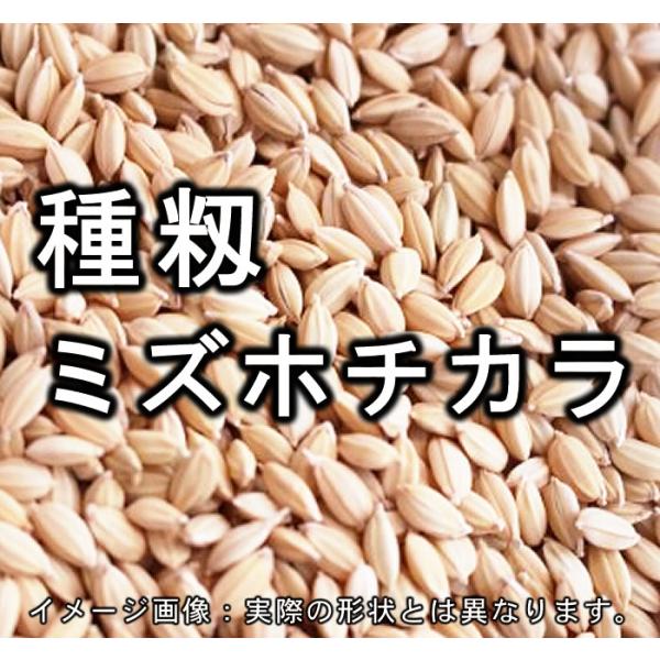 こちらの商品は、【事業所配送（個人宅不可）】です。個人宅には配送できません。下記の条件以外はキャンセルとなります。【事業所配送（個人宅不可）】とは、以下の条件が必要です。●日中10時から17時までの間必ず荷物を引き取れる事業所。●電話番号は...