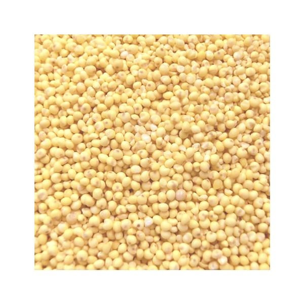 こちらの商品は、【事業所配送（個人宅不可）】です。個人宅には配送できません。下記の条件以外はキャンセルとなります。【事業所配送（個人宅不可）】とは、以下の条件が必要です。●日中10時から17時までの間必ず荷物を引き取れる事業所。●電話番号は...