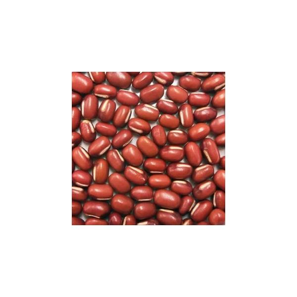 本商品は送料がかかります。※送料計算がうまくいかない場合がございますので、送料は注文受付メールにてご確認ください。送料は同梱可能商品の重量の合計と送り先の都道府県との組み合わせで決まります。ただし、沖縄・一部離島は別途料金が発生致します。詳...