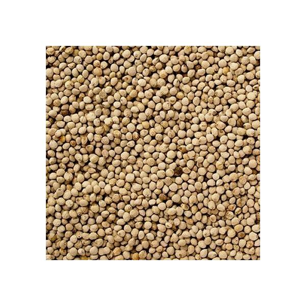 本商品は送料がかかります。※送料計算がうまくいかない場合がございますので、送料は注文受付メールにてご確認ください。送料は同梱可能商品の重量の合計と送り先の都道府県との組み合わせで決まります。ただし、沖縄・一部離島は別途料金が発生致します。詳...