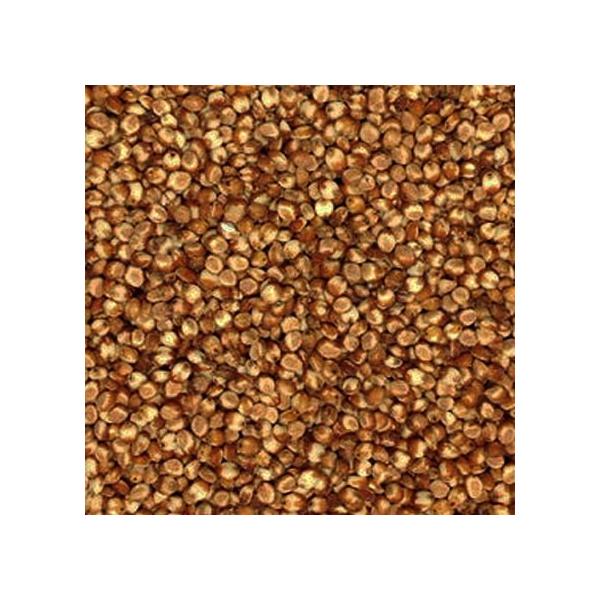 本商品は送料がかかります。※送料計算がうまくいかない場合がございますので、送料は注文受付メールにてご確認ください。送料は同梱可能商品の重量の合計と送り先の都道府県との組み合わせで決まります。ただし、沖縄・一部離島は別途料金が発生致します。詳...