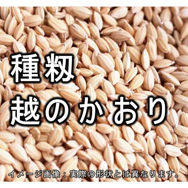 こちらの商品は、【事業所配送（個人宅不可）】です。個人宅には配送できません。下記の条件以外はキャンセルとなります。【事業所配送（個人宅不可）】とは、以下の条件が必要です。●日中10時から17時までの間必ず荷物を引き取れる事業所。●電話番号は...