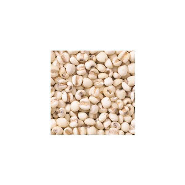 本商品は送料がかかります。※送料計算がうまくいかない場合がございますので、送料は注文受付メールにてご確認ください。送料は同梱可能商品の重量の合計と送り先の都道府県との組み合わせで決まります。ただし、沖縄・一部離島は別途料金が発生致します。詳...