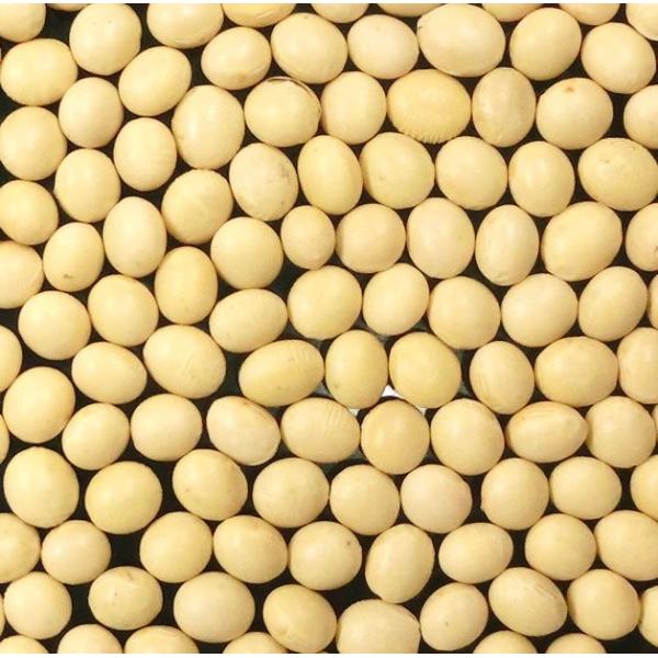 本商品は送料がかかります。※送料計算がうまくいかない場合がございますので、送料は注文受付メールにてご確認ください。送料は同梱可能商品の重量の合計と送り先の都道府県との組み合わせで決まります。ただし、沖縄・一部離島は別途料金が発生致します。詳...