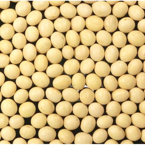 こちらの商品は、【事業所配送（個人宅不可）】です。個人宅には配送できません。下記の条件以外はキャンセルとなります。【事業所配送（個人宅不可）】とは、以下の条件が必要です。●日中10時から17時までの間必ず荷物を引き取れる事業所。●電話番号は...