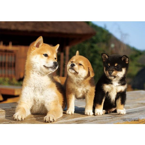 カラー：単品(C)YONEO MORITA/NOANOA 撮影協力:西湖いやしの里牧場(富士河口湖町)完成サイズ:18.2x25.7cm