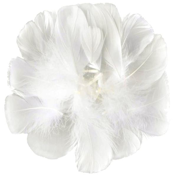 カラー：ホワイト【お得なセット】：大容量で、200本の高品質の羽が含まれています。お誕生日パーティー、結婚式、パーティー、その他のファッションなど、すべてのニーズにお応えします。【美しいシーン】羽根は天然純白。羽は非常に軽いので、投げると予...