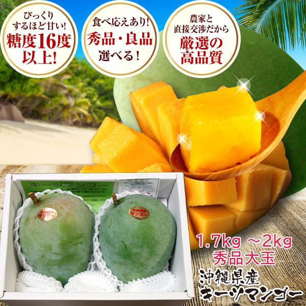 期間限定！甘くて美味しい沖縄県産キーツマンゴー完熟まで10日~14日常温でお待ちいただくのでお早目のご注文をオススメしております。