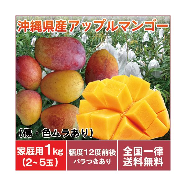 沖縄県産完熟アップルマンゴー家庭用 1kg（2〜5玉入り）傷や色ムラあり鮮赤色が3分以下と色にバラつきがあり緑がかった部分は少し酸味のある大きさもバラバラの傷ありマンゴーを詰め合わせております。