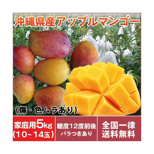 沖縄県産完熟アップルマンゴー家庭用 5kg（10〜14玉入り）傷や色ムラあり鮮赤色が3分以下と色にバラつきがあり緑がかった部分は少し酸味のある大きさもバラバラの傷ありマンゴーを詰め合わせております。