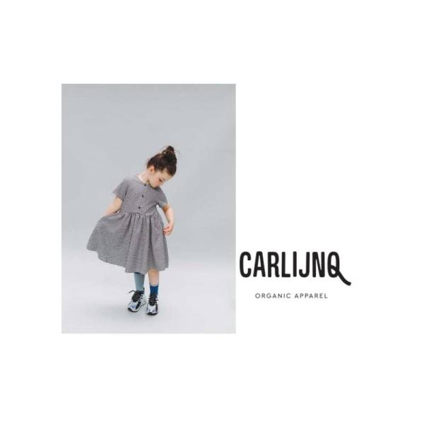 ※商品ページの【必ずお読みください】をご確認の上で、ご購入をお願い致します。m(_ _)mご購入いただいた場合、それらをご納得の上でのご購入ということになります。---------------------------------------...