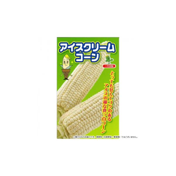 熟期87〜90日の中晩生ホワイトコーン。ホワイト品種の中でも高い甘さで皮も柔らかく、食味は抜群です。先端不稔も少なく、秀品率も高い。粒揃いが良く、粒色が鮮やかで見栄えも良い。生育旺盛で草丈は200cm前後。穂はやや長めで、皮付き重400g以...