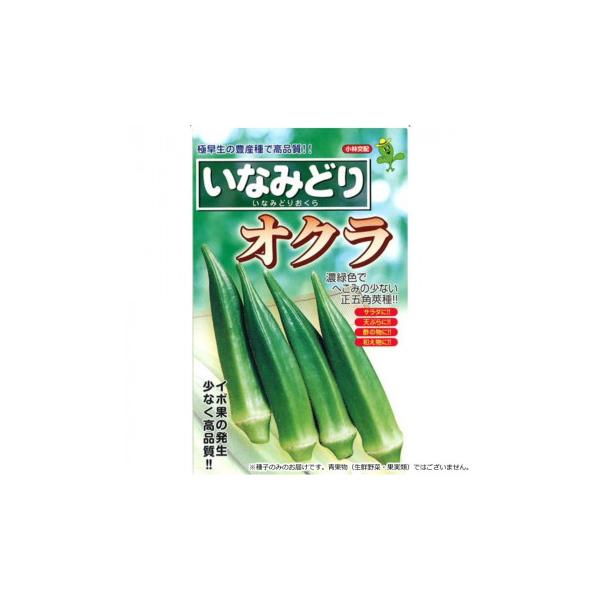 果実の色は濃緑色で、陵角がはっきりしており、へこみの少ない正五角莢種です。収穫期までの成長期間が短い極早生種で、なお且つ、とても多く収量が期待できる豊産種でもあります。曲がり果、イボ果の変形果が少なく、またアントシアンの発生も少ないので高品...