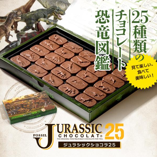 楽しむチョコ♪25種類の恐竜化石を型取ったミニチョコレートを全品詰め合わせ●内容量　25個●外装サイズ　180mm×280mm×30mm●賞味期限　2026年08月31日●原材料　チョコレート（国内製造）、ココアバター／乳化剤、香料、（一部...