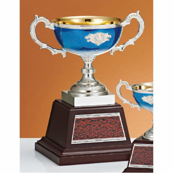 ゴルフ、サッカー、野球、各種スポーツ大会など表彰式で使われるカップです。優勝カップの持ち回り用や記念品に最適です。 装飾に紅白リボンを取り付けます（無料）。