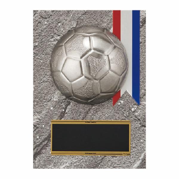 大会など表彰式で使われる、サッカーの楯(盾)です。記念品、卒業記念、卒団記念などに最適です。装飾に紅白リボンを取り付けます（無料）。