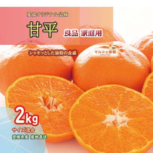 【発売日：2026年02月12日】甘平　かんぺい　２kg 良品　サイズ混合　約6-8個　フルーツキャップなし表面に色ムラ、風すれ　表面に細かい傷が付いているものが含まれています。味や品質に違いはございません。産地：愛媛県保存方法：日の当たら...
