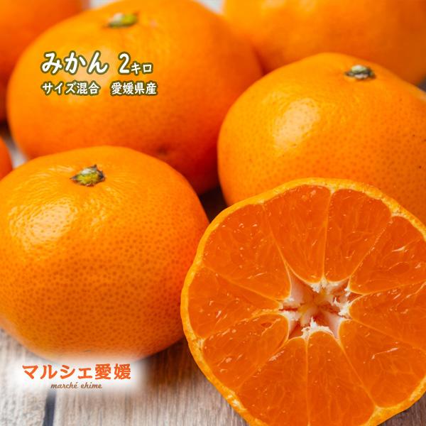 【発売日：2026年04月20日】温州みかん　約2kg サイズ混合　S,M,L,2L 良品まれに傷ありですが味や品質に問題ありませんつぶれや変形などは排除し発送いたします産地：愛媛県発送予定：11月頃熟成具合によっては出荷日が前後します送料...