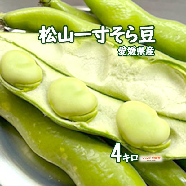 【発売日：2026年04月30日】空豆 松山一寸そらまめ内容量：約4kg　(1kg約17本から20本) 1サヤ2-3粒,サヤ付出荷時期：4月下旬-5月上旬頃発送開始保存方法：冷蔵庫に保管するときは乾燥・低温に弱いため冷気にあたらないようビニ...