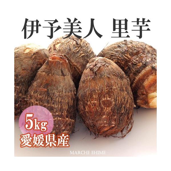内容量：里芋　2.5kg×2箱 約５kg 伊予美人　秀品　L,2L検品して箱詰めいたします賞味期限：約1週間さといもの保存方法：新聞紙などに包んで冷暗所で保存してください。里芋の土を洗い流した場合は1週間ほどで早めに食べきってください。産地...