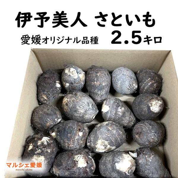 【発売日：2026年09月25日】内容量：里芋 約2.5kg 伊予美人 秀品　L,2L賞味期限：約1週間さといもの保存方法：新聞紙などに包んで冷暗所で保存してください。里芋の土を洗い流した場合は1週間ほどで早めに食べきってください。産地：愛...