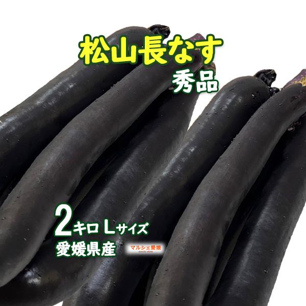 【発売日：2026年06月30日】松山長なす　通常の千両・筑陽にくらべて、平均40センチと長く、また、皮や実がやわらかいです。風などの影響で、実に傷がつきやすい、曲がりやすいといった栽培が難しい特徴がある。焼きナスの活用法：みそ汁の具、サラ...