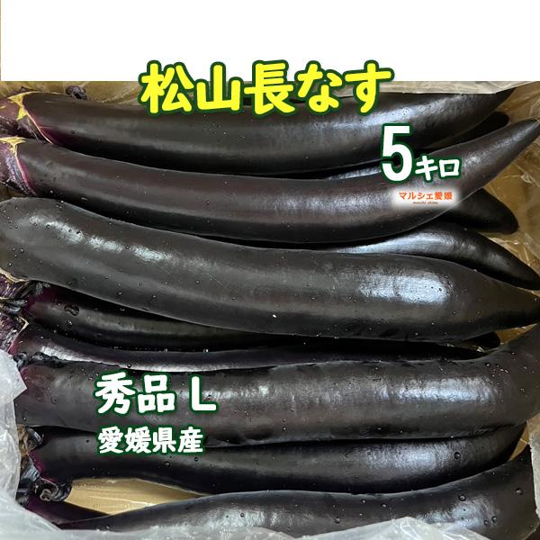 【発売日：2026年06月30日】松山長なす　通常の千両・筑陽にくらべて、平均40センチと長く、また、皮や実がやわらかいです。風などの影響で、実に傷がつきやすい、曲がりやすいといった栽培が難しい特徴がある。焼きナスの活用法：みそ汁の具、サラ...