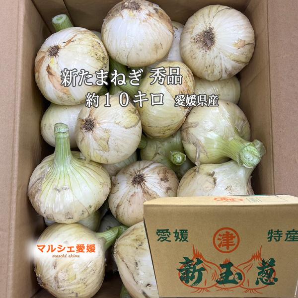 【発売日：2026年03月10日】内容量：新たまねぎ 玉葱 約10kg サイズ混合  M L　約25~40玉  土付き保存方法：冷蔵（10度以下）主な産地：愛媛県冷蔵便送料込　但し北海道、東北、沖縄は追加送料出荷時期 3月頃から4月頃収穫後...