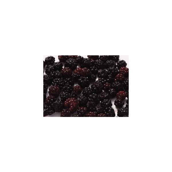 冷凍ミュール（黒イチゴ）生産者は栽培する果実の品種とテロワール（土壌）栽培方法を厳選しています。冷凍食品以外とは一緒に発送できませんのでご了承ください。内容量1ｋｇデザートとしてタルトやフルーツケーキはもちろん、朝食のヨーグルトなどに混ぜて...