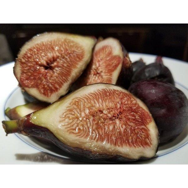 6月下旬から9月下旬までの収穫で半ば３〜４週ほど入荷がございません。（入荷の無い場合もございます。ご了承ください。）フランスでは皮ごと食べられています。チーズに添えたり、デザートやサラダにも。味の濃い黒イチジクはフランスの物と同じように味が...