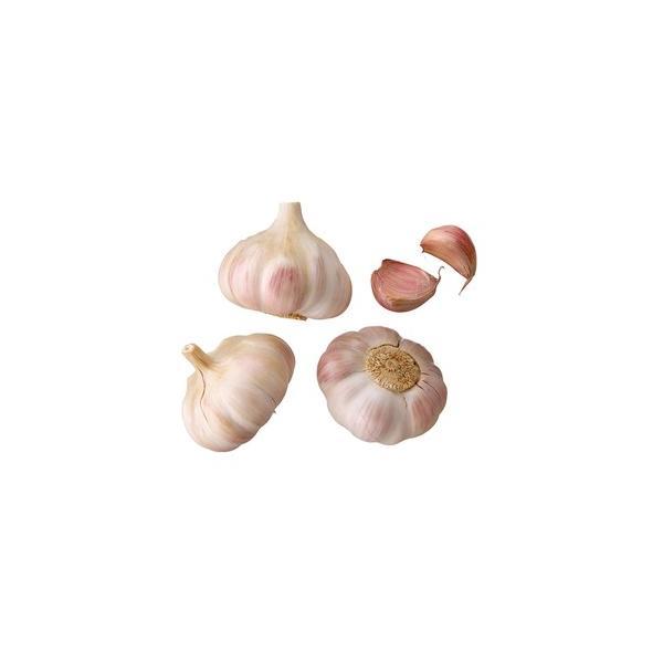 ＊現在はスペイン産のみフランス南西部タルヌ県のロートレック村で栽培されてる、フランスで品質保証されているニンニク（ガーリック）です。ミネラル豊富な粘土質の土壌に作られるこのにんにくは、ポリフェノールの1種であるアントシアニンを含んでいて、色...