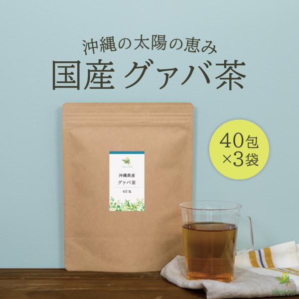 【発売日：2024年12月22日】名称　　　　　グァバ茶原材料名　　　グァバ葉原料原産地名　沖縄県内容量　　　　240g（2g×40包×3袋）賞味期限　　　別途商品ラベルに記載保存方法　　　開封後はふたを閉め、直射日光や高温多湿を避けて保管...