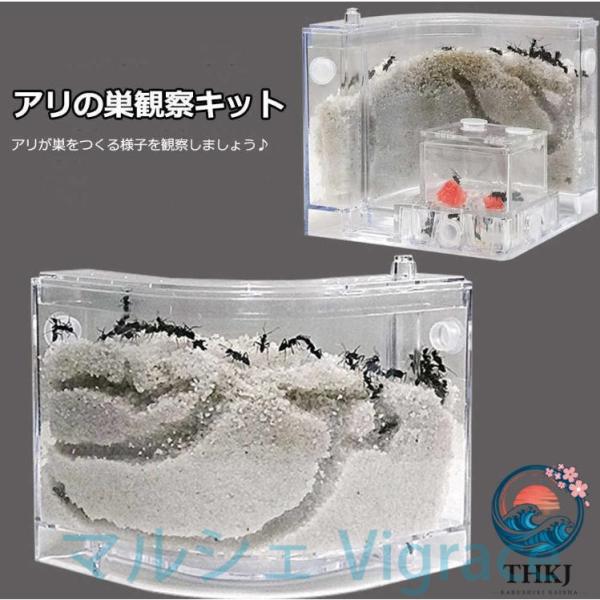 アリの巣　あり観察キット　飼育ケース　砂　自由研究 小学生 あり 蟻 飼育セット 実験セット 観察　夏休み　学習用アリの巣　あり観察キット　アリの巣観察キット　アリ　巣　観察　飼育ケース　砂　自由研究 小学生 キット あり 蟻 飼育セット ...