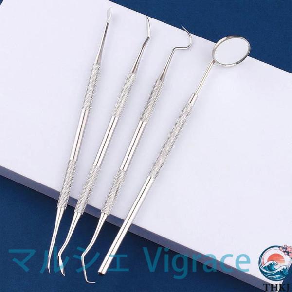 自宅用 器具 スケーラー ステンレス製歯用ツール6点入り 自分で取る 歯垢 デンタルツール ステンレス製 ヤニとり 先極細 歯石取り 歯石除去 プロ仕様 敬老の日