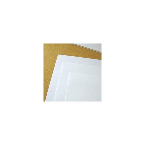 透明水彩絵の具を使用した「ぬらし絵」に適した画用紙です。しっかりと海綿で湿らせても、紙が毛羽立たず綺麗に描くことができます。この水彩画画用紙は、ハーネミューレ紙とも呼ばれています。木の繊維が入っておらず、漂白された(tcf/ecf)パルプと...