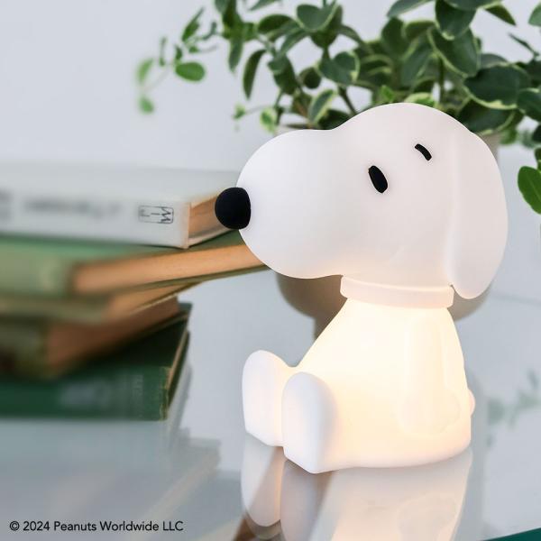 ■PEANUTSはコミック誕生75周年！1950年10月2日、初めて新聞に掲載されたコミック「PEANUTS」。チャーリー・ブラウンが現れた、この記念すべき一作目から75年。■Bundle of Lightとは「光の束」という意味。それは、...