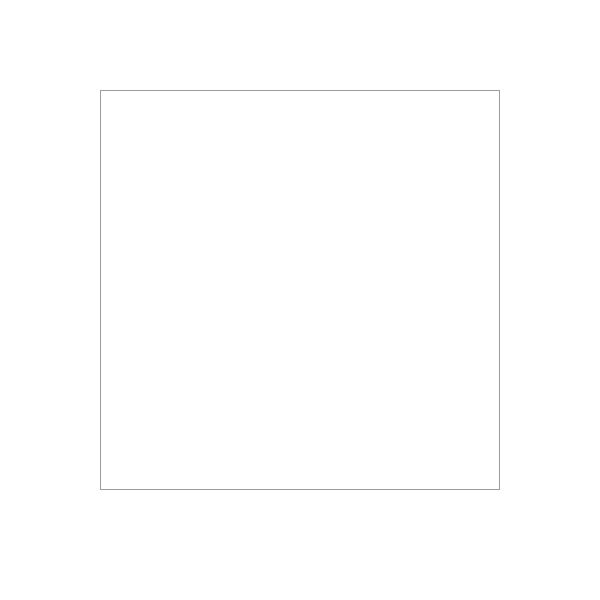 大切なレコードを保存されたい方のためのレコードジャケット。特厚紙を使用しています。色は白。50枚1セットでのお届けとなります。■主な仕様[サイズ] 横315mm×縦315mm[素材等] コートボール紙（厚み0.52mm）[タイプ] 両なし[...