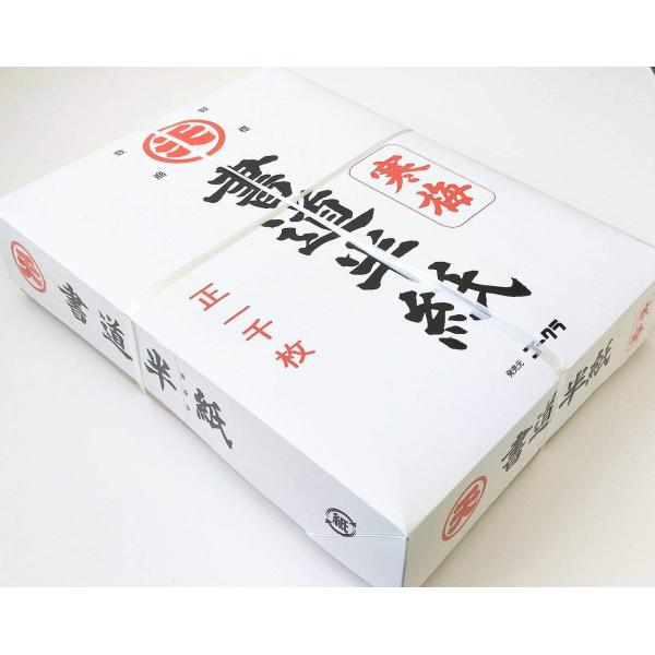 【商品概要】・1000枚入り・約242×333mm・小学校低学年の清書用として最適です。・小学校低学年〜大人まで使用可能で、幅広い年代から支持されています。【商品説明】１０００枚入り　小学校低学年の清書用として最適です。 小学校低学年〜大人...