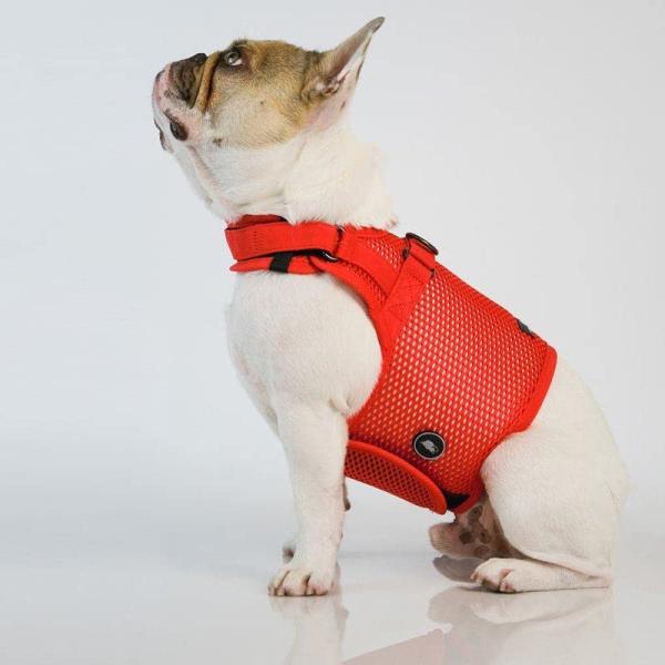 【商品概要】ユニークで柔らかく、通気性の良いメッシュのウォーキングハーネス〇参考種類【XSサイズ】ポメラニアン、トイプードル、マルチーズ、チワワ【Sサイズ】ダックス、シュナウザー、パグ、柴犬【Mサイズ】シェルティ、フレンチブル、ボーダーコリ...