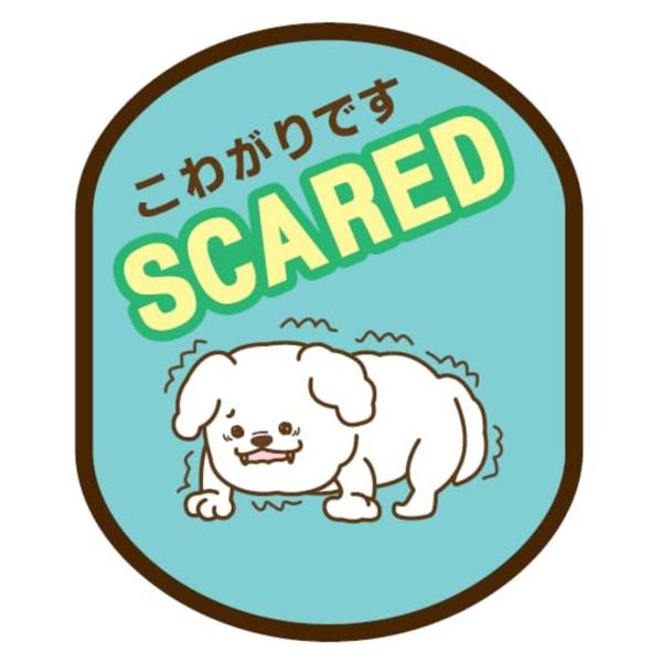 【商品概要】言葉で伝えなくても気持ちが伝えられる【商品説明】【商品詳細】ブランド：DADADA商品種別：ペット用品商品名：DADADA （ダダダ）メッセージワッペン 全7種 (こわがりです)製造元：DADADA商品番号：D-1A商品内容：ワ...