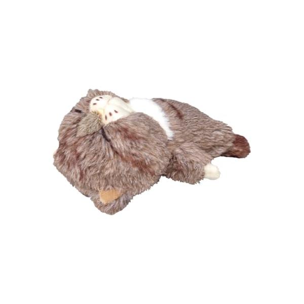 【商品概要】「ぼうみたいなねこ」に新しくネコ科シリーズが登場!無防備におなかを出して眠る姿に癒されます。「ぼうねことは」…「あるある」な猫の姿をそのままぬいぐるみにしました。寝姿がまるで棒のような猫…まさしく「ぼうねこ」 / メーカーオスス...