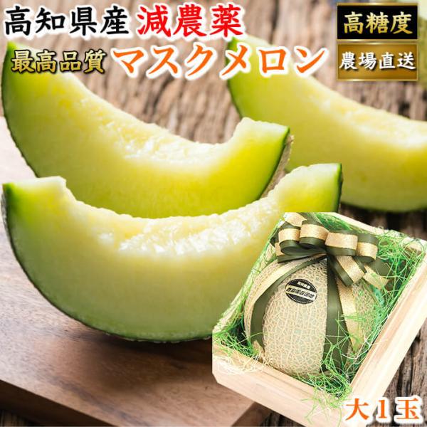 メロンを作り続けて５０年以上！土佐の楽園「西島園芸団地のメロン」約6ヘクタールもの広大な敷地に、栽培ハウス10棟を有する観光農園。高知では歴史が古く、香南市夜須のエメラルドメロンが人気を２分しております。減農薬で育て「1つの苗から1玉」だけ...